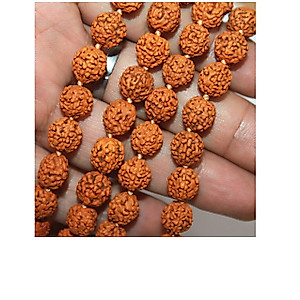 Original Rudraksha Mala With Certificate For Wearing And Japa Mala (5 Mukhi Mala, 108 Beads Mala Rosary Garland)