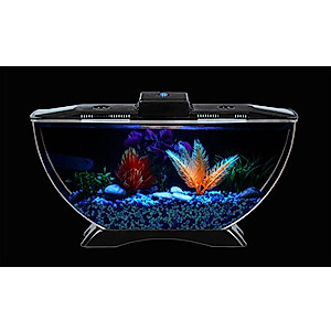 BettaTank 1-Gallon Deco Fish Tank with LED Lighting