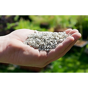 Nature's Footprint Pumice Soil amendment, 5-Gallon