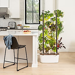 Gardyn 3.0 Hydroponics Growing System & Vertical Garden Planter - Includes 30 Non-GMO Indoor Plants, Herbs & Vegetables for Your Home Indoor Gardening System | Next Generation of Indoor Smart Gardens