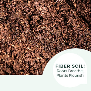 Window Garden 20 Cavity Seed Propagation Kits (2) – Complete with Fiber Soil and Ventilated Greenhouse Trays. Germinate Seeds in a Window or Under Lights for The Garden. Reusable Seedling Starter.