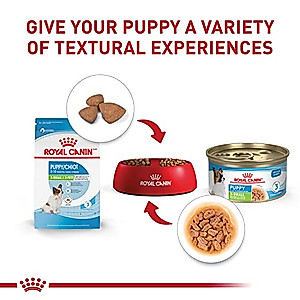 Royal Canin Size Health Nutrition X-Small Puppy Dry Dog Food, 3 lb Bag Size Health Nutrition X-Small Puppy Thin Slices in Gravy Wet Dog Food, 3 oz can (12-Count)