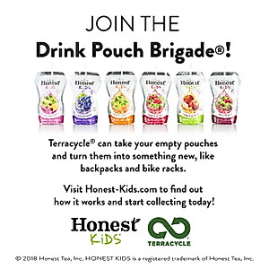 Honest Kids Super Fruit Punch Organic Fruit Juice Drink, 6.75 Fl Oz, 6.75 Fl Oz (Pack of 32)