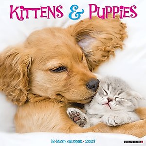 Kittens & Puppies 2023 Wall Calendar