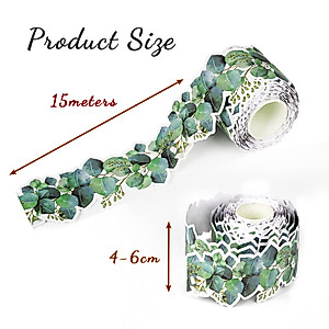 49ft Eucalyptus Die-Cut Border Trim Bulletin Board Classroom Border Trim Eucalyptus Themed Border Sticker for Photo Wall Bulletin Boards Desks Display Home and School Decorations Green