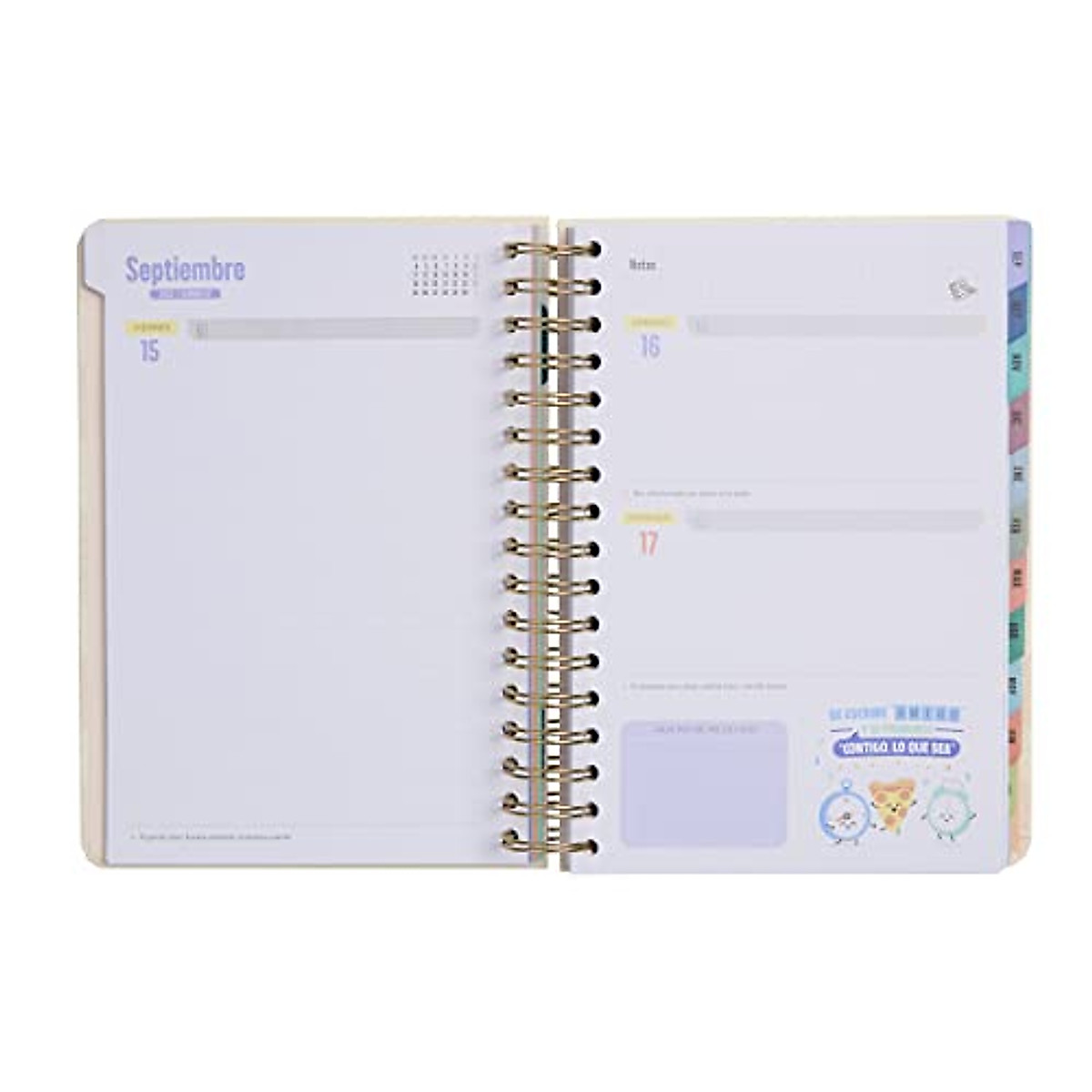 Mr. Wonderful, Wonder Planner 2023-2024 Pink Diary, Every Day Can Be My Day