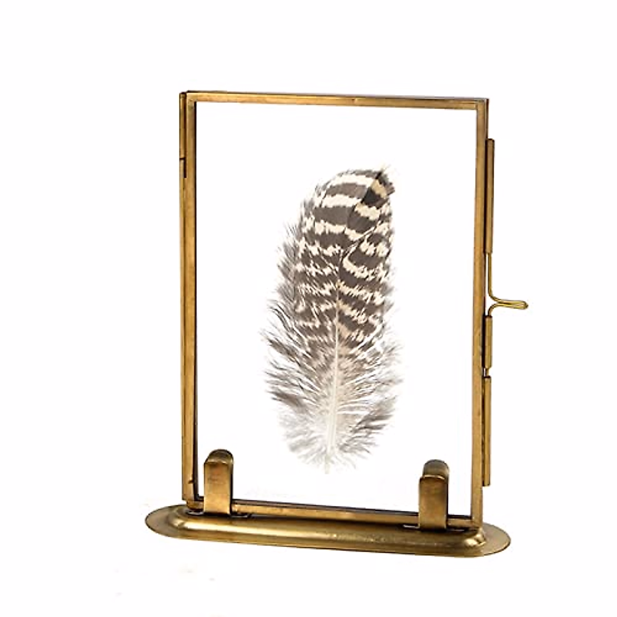 Hline Living Gold Picture Frames 4x6, Brass Floating Frame Glass Metal w/Stand Base, Photo Display for Home Wedding Office Tabletop Shelf