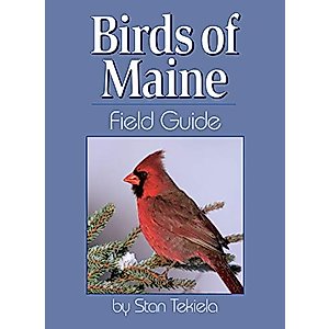 Birds of Maine Field Guide