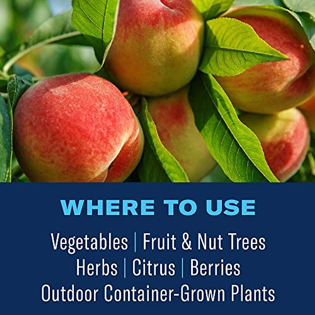 BioAdvanced Organics Brand Tomato, Vegetable & Fruit, Ready-to-Use, 24 oz