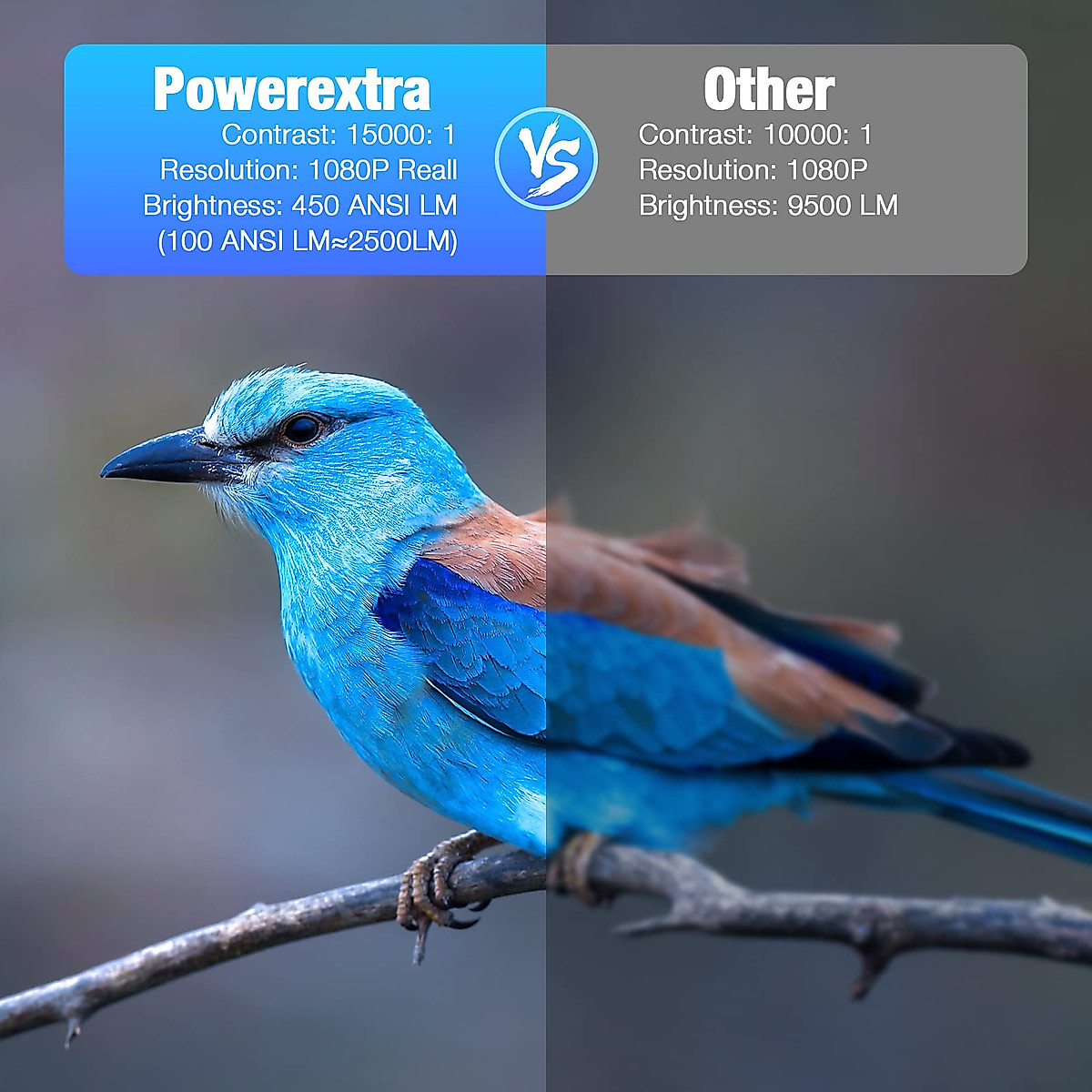 5G WiFi Bluetooth 4K Projector, Autofocus 450 ANSI Lumen Full HD Native 1080P Projector, Outdoor Projector Auto 6D Keystone, 50% Zoom, 300” Display Movie Projector for Home Theater