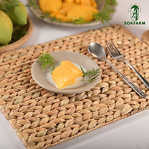 SOKFARM Boho Placemats Set of 8, Rectangle Placemats for Dining Table, Water Hyacinth Wicker Placemats, Straw Placemats Rectangle Woven Placemats Set of 8, Placemats for Dining Table Set of 8, 17x12