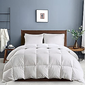 Dafinner Organic Feathers Down Comforter Queen Size Duvet Insert for All Seasons - Hotel Collection 100% Cotton, Fluffy 750 Fill-Power, Medium Warm Full Queen Bed Blanket, 90”x90”, White