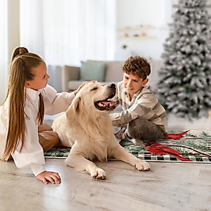 Tailus Hello Winter Cardinal Kitchen Rugs Set of 2, Red Bird Pine Tree Snow Buffalo Plaid Farmhouse Kitchen Mats Decor, Christmas Holiday Seasonal Floor Door Mat Home Decorations -17x29 and 17x47 Inch