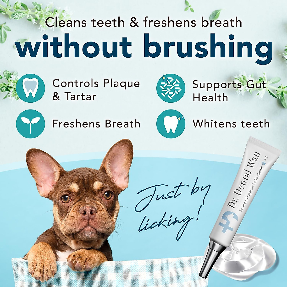 Brushless Organic Dog Toothpaste | Dog Breath Freshener | Dog Tooth Brushing Kit | Dog Teeth Cleaning | Reduce Plaque & Tartar | Vet Formulated (DR. DENTAL WAN Enzymatic Toothpaste for Dogs)