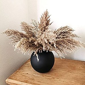 HUMINBO Pampas-Grass Pompous Dried Pampass Plants Fluffy Pompas Grasses 30 Stems Small Pompus Short