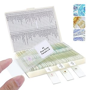 120Pcs Prepared Microscope Slides Animals Insects Plants Bacterial Sample Biological Slide Specimen for Kids Students Adults, for Science Study and Education