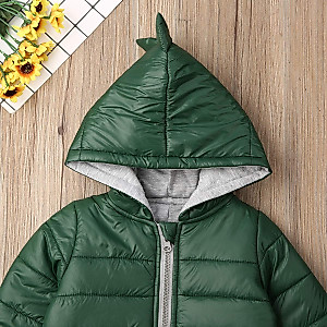 Fashion Toddler Baby Boys Girls Dinosaur Hoodie Jacket Fall Winter Long Sleeve Warm Coats Kids Zip Up Outwear Clothes (Green,4-5T)