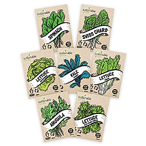 Salad Greens Seeds Kit – Bulk Leaf Lettuce, Bibb, Romaine, Kale, Arugula, Spinach, Swiss Chard Seeds for Planting – Leafy Greens for Indoor Hydroponic or Outdoor Organic Vegetable Garden, 100% Non-GMO