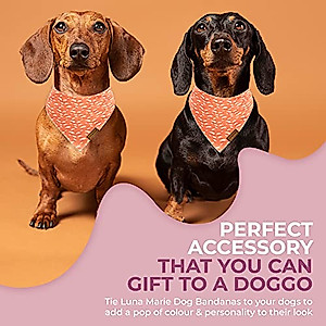 LunaMarie - Luxury Pet Birthday Bandanas -Premium & Silky Poly Fabric | 100% Handmade | Custom Shape Dual Layered (Orange Feathers, Small)
