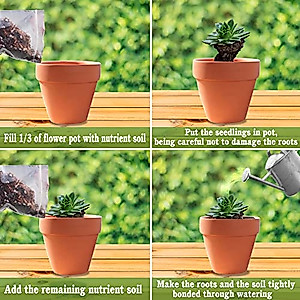 Halatool 6 QT Organic Top Soil Garden Succulent Soil for Indoor & Outdoor Plants Bonsai Cactus Soil Potting Mix for Houseplants Flowers Vegetables & Herbs