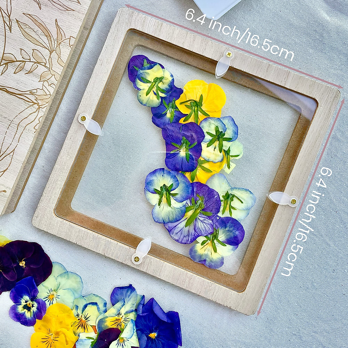 Petal Co Wooden Flower Press 7inch x 7inch with Frame for pressed flowers and leaves including Ultimate Guide to Flower Pressing
