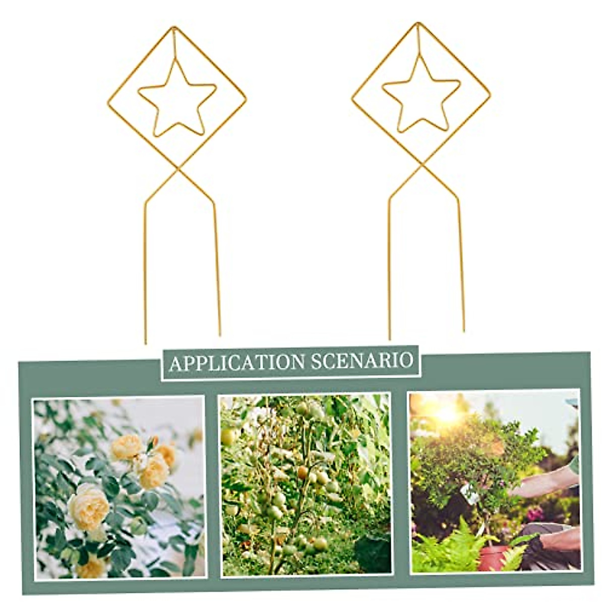 YARNOW 2pcs Flower Stand Rose Vines Plants for Outside Gold Stand Plant Climbing Frame House Plants Indoors Live Garden Metal Trellis Golden Metal Plant Climbing Supports Vine Trellis