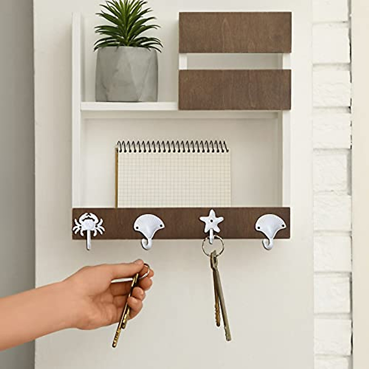 TOPBATHY 3pcs Nautical Hooks Crab sea Shell Shape Wall Hooks Coat Towel Hooks Robe Key Hat Clothes Hooks Wall Hangers Nautical Beach Coastal Wall Decorations Ornaments