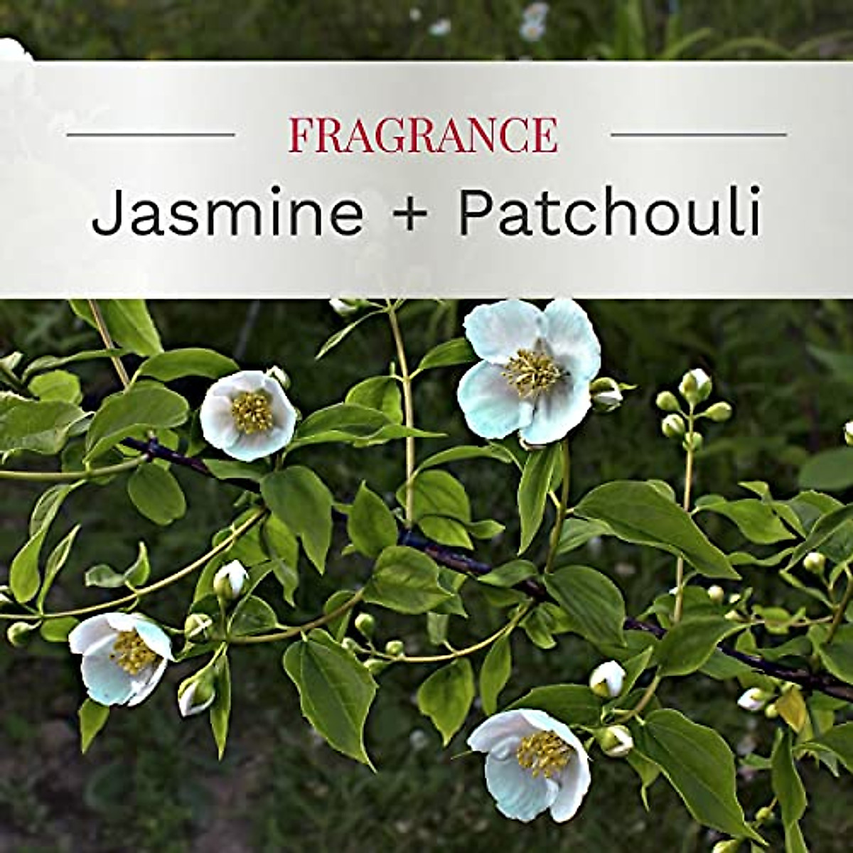 Essential Elements by Candle-lite Scented Candles, Jasmine & Patchouli Fragrance, One 14.75 oz. Three-Wick Aromatherapy Candle with 45 Hours of Burn Time, Off-White Color