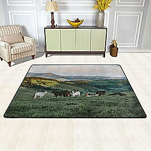 Custom Office Rug Personalized Area Rugs Design Your Logo Image Text Home Decoration Carpet for Bedroom Living Room (36 x 24Inch)