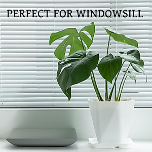 bisenwin Plant Pots Indoor Plastic Flower Pots Outdoor 5 inch Set of 6 Pack with Drainage Holes and Saucers for Garden pots (5 inch 6 pcs)