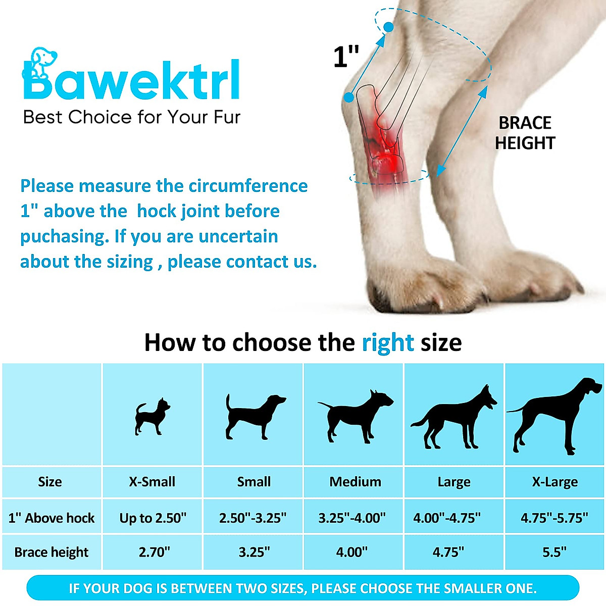 Dog Leg Braces for Rear Legs, Hock Brace for Back Legs with Metal Strips and Safety Reflective Straps for Short Legs, Joint Warps Support for Hind Legs Injuries Sprains Arthritis (XSmall)