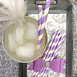 Outside the Box Papers Lavender/Lilac and Silver Stripe and Chevron Paper Straws 7.75 Inches 100 Pack Lilac, White