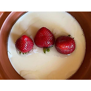 VitaClay Organic Slow Cooker and Yogurt Maker (2 Quart)