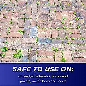 Green Gobbler 20% Vinegar Weed & Grass Killer | Natural and Organic | Concentrated | 32 fl. oz. Spray | Glyphosate Free Herbicide