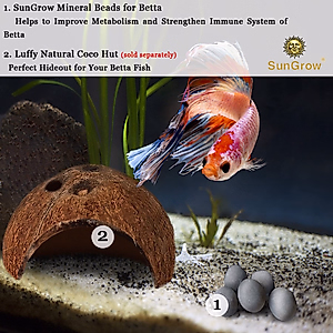 SunGrow Calcium-Rich Balls for Betta, Water Conditioner with Over 30 Beneficial Elements, Freshwater Fish Tank Decorations, 10 Pcs per Pack