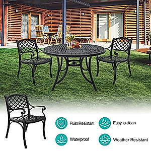 2 Pieces Cast Aluminum Patio Chair,Metal Outdoor Dining Chair with Armrest, Set of 2 All Weather Patio Armchairs,Outdoor Furniture Bistro Chairs for Lawn Porch Garden Backyard Poolside Deck,Black