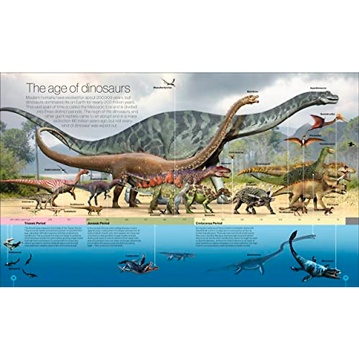 Timelines of Everything (DK Children's Timelines)