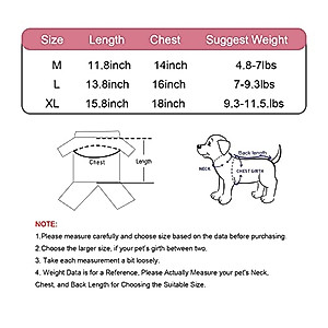 Dog Girl Plaid Princess Dress with Bowknot + Dog Leash for Wedding Party Summer Beach,Puppy Sleeveless Cool Breathable Apparel Party Outfit Red