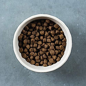 Evolve Pet Food Classics Deboned Beef, Barley and Bison Recipe Dog Food, 3.5-pounds
