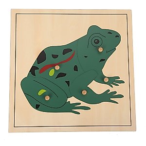 MEYOR Montessori Frog Puzzle for Early Preschool Education Learning Toy