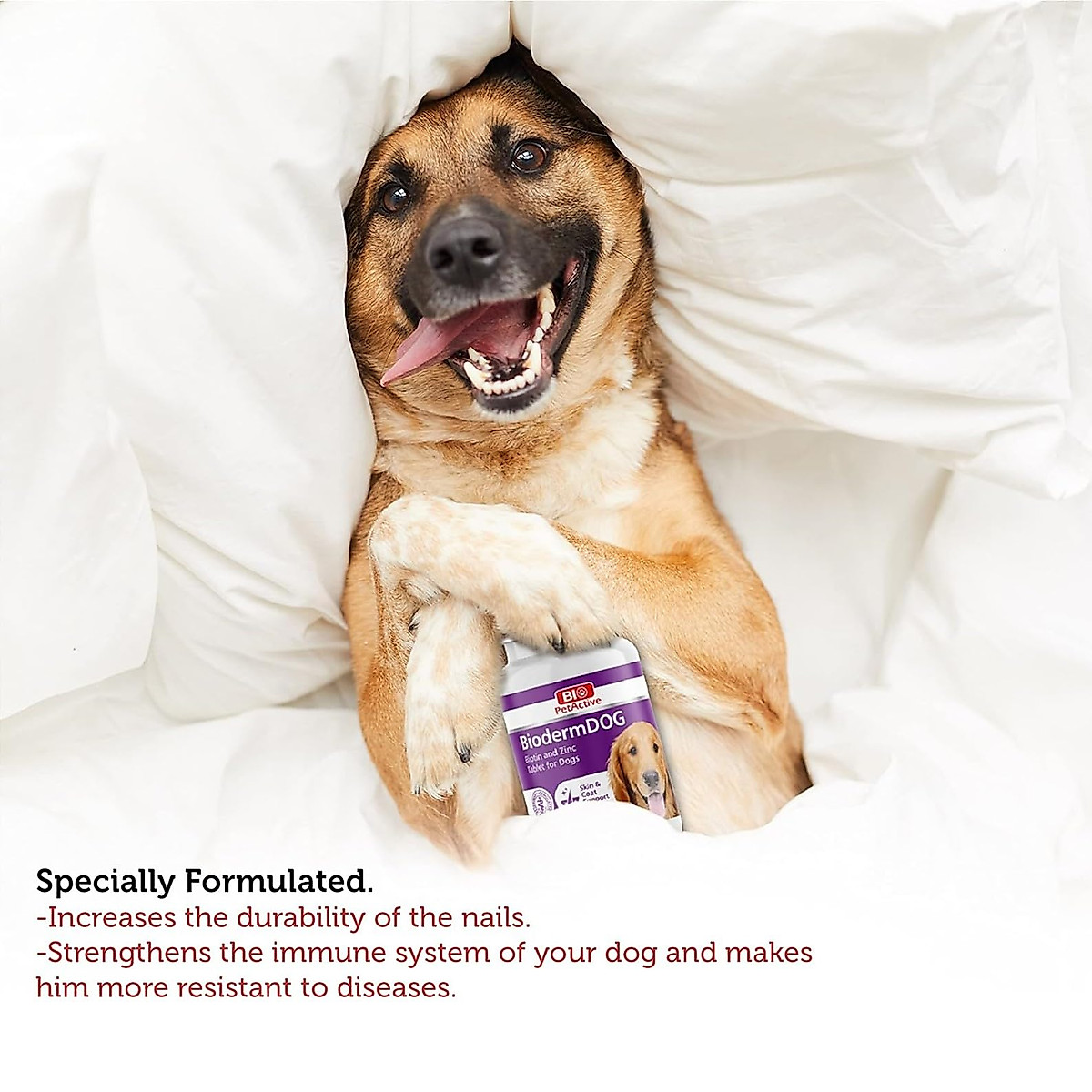 Bio Pet Active BiodermDOG 0.5 Zinc and Biotin Tablets for Dogs, Immune System, Skin, Coat and Nail Support for Dogs, 1.32 oz, 75 Chewable Tablets