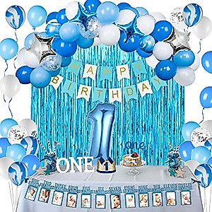 JOYYPOP 1st Birthday Boy Decorations 66PCS Blue 1st Birthday Decorations for Boy with 12 Months Photo Banner, 1st Birthday Baby Crown, Cake Topper, 1st Birthday Highchair Banner