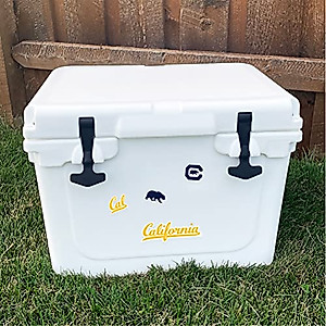 Desert Cactus University of California Berkeley Sticker Golden Bears Cal UC Stickers Vinyl Decals Laptop Water Bottle Car Scrapbook T2 (Type 2)