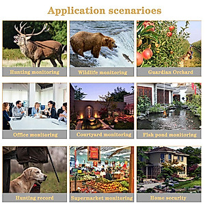 GoldPaddy Trail Game Camera 4K 20MP, Hunting Camera with Night Vision Motion Activated Waterproof Camera 0.2s Trigger Time Scouting Cam 2.4” LCD IR LEDs 120° Wide Angle for Wildlife Home Monitoring