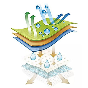 CIELO COLORIDO Customized 8' x 194' Green Fence Privacy Screen, Custom Available,with Bindings, Heavy Duty for Gardens,Backyard, Patio, Construction Project, Outdoor Events,Professional Manufacturer