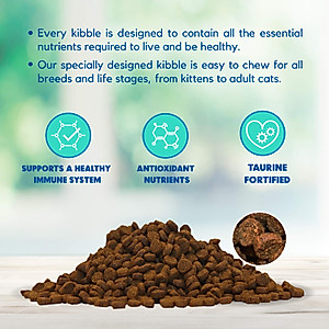 Lucy Pet Products Formulas for Life - Sensitive Stomach & Skin Dry Cat Food, All Breeds & Life Stages - Salmon, Pumpkin, & Quinoa, 4 LB Bag