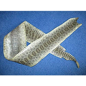 Rattlesnake Skin Prairie Rattler Hide Dry Tanned Bow Wrap Pen Blanks 44"