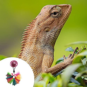 Ipetboom Bearded Dragon Costume Bearded Dragon Hat for Lizards Bearded Dragon Tutu Skirt Reptile Mini Deck Chair Small Pet Costume Outfits Clothes Photo Props for Lizards Geckos Hamsters Rats