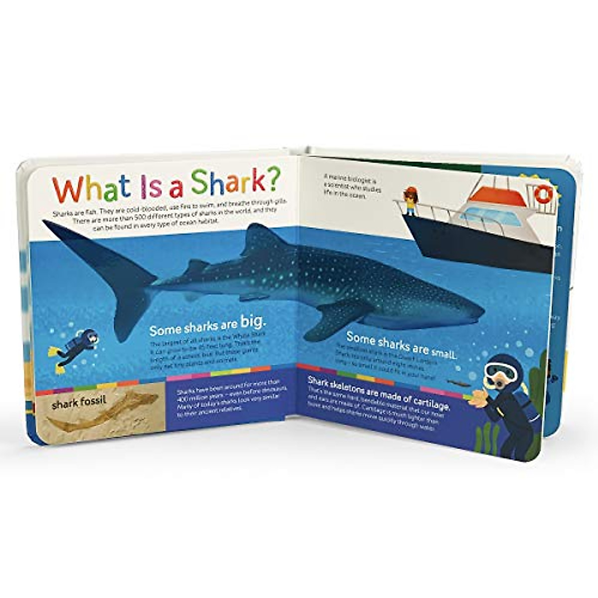 Sharks (Smithsonian Kids First Discovery Books)