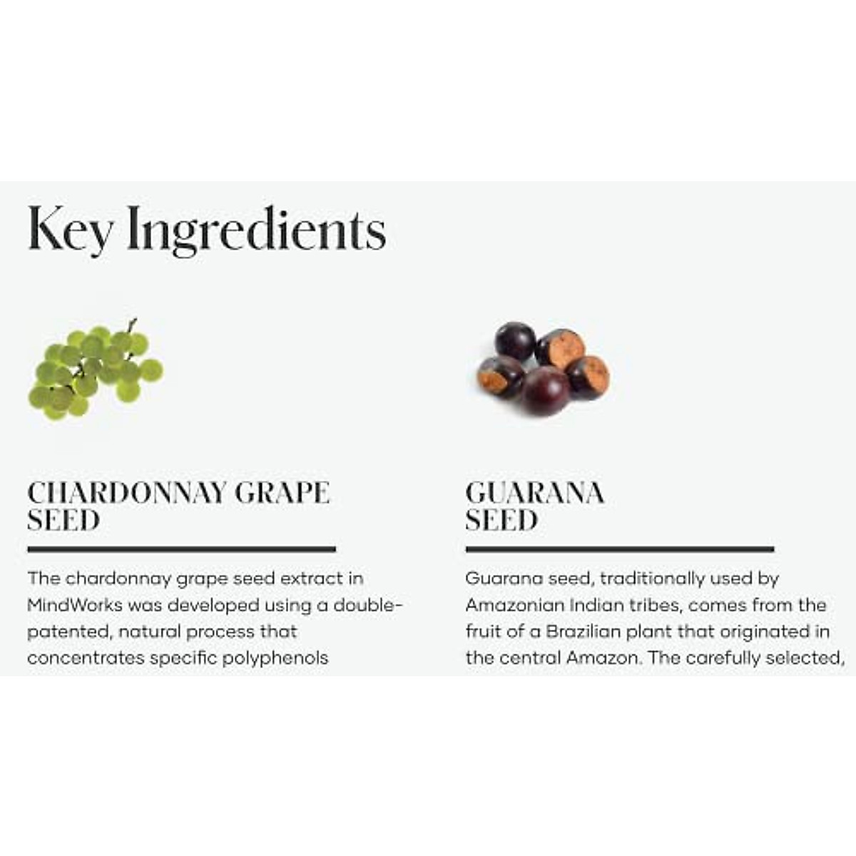 Shaklee MindWorks® - Brain Health Supplement for Brain Sharpness & Focus - Supported Nutrients & Extracts - Chardonnay Grape Seed Polyphenols, Guarana Extract, Vitamins B6, B12, Folate - 30 Tablets